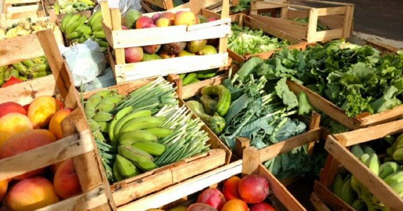 Direito humano à alimentação adequada é cada vez mais violado no Brasil ...